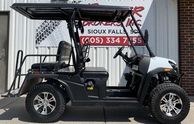 Stock# A00878 USED 2020 Vitacci ROVER GOLF CART